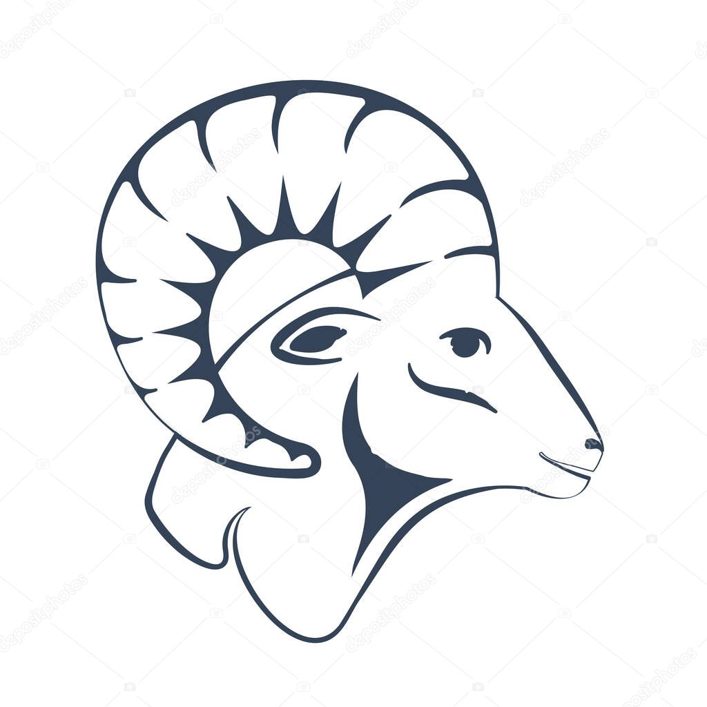 Dibujo Del Perfil Del Carnero Primer Sesión Carnero Tradicional!!