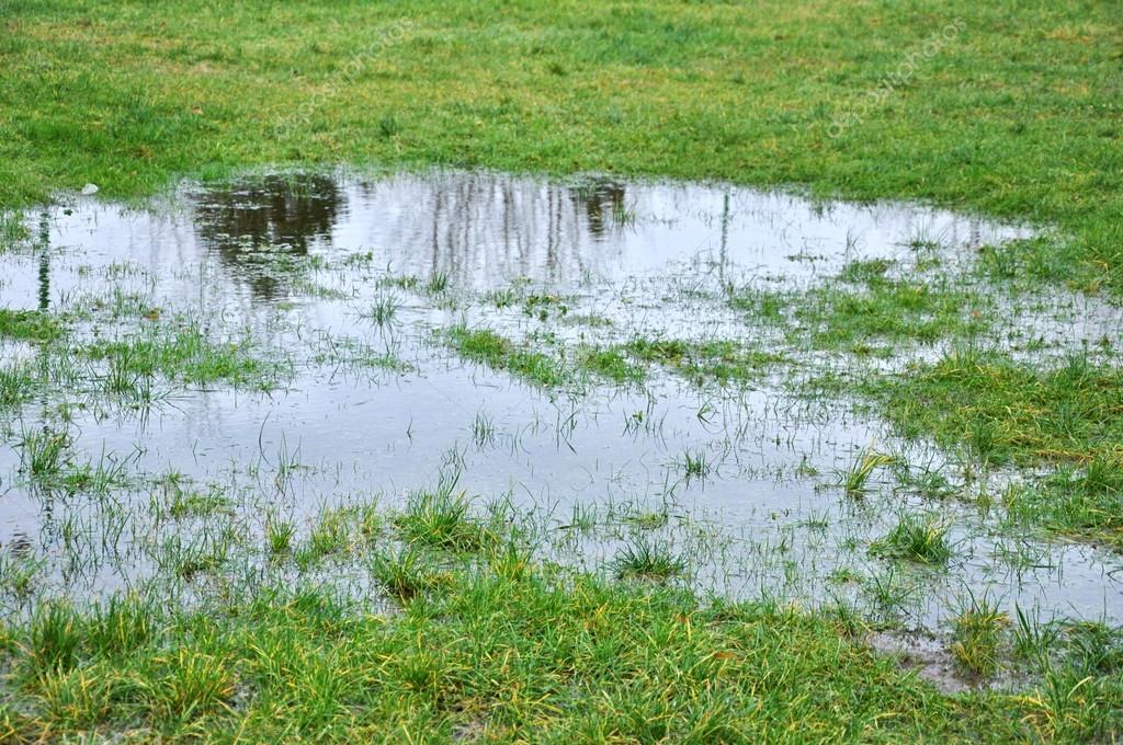Puddle in grass Stock Photo by ©Tadeas 61291683