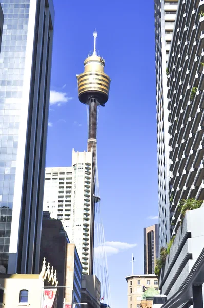 Sydney tower Stock Photos, Royalty Free Sydney tower Images | Depositphotos