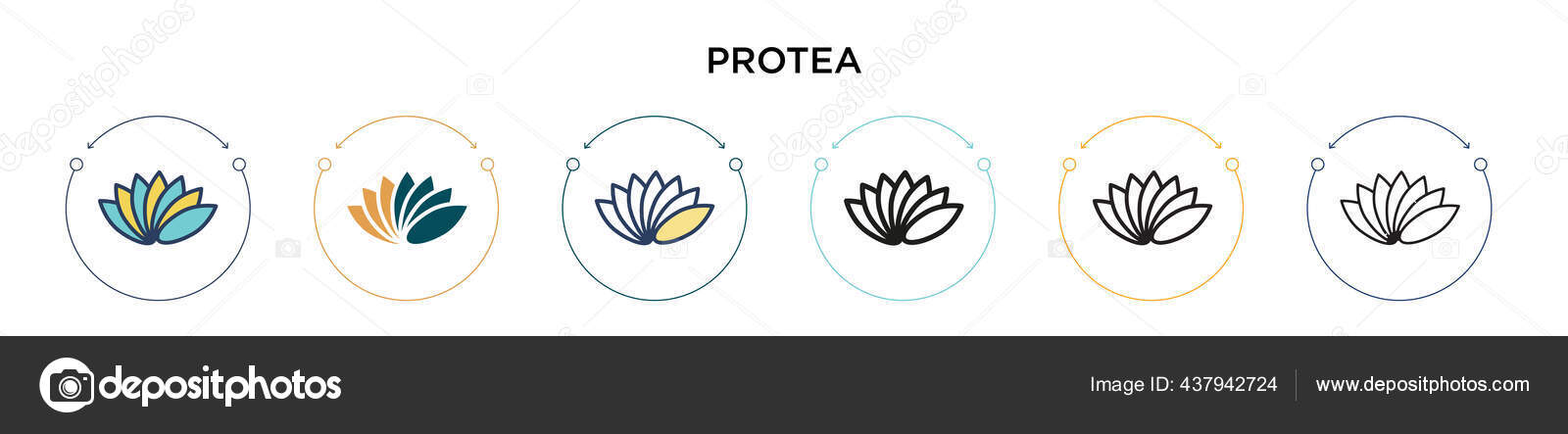 Protea Icon Filled Thin Line Outline Stroke Style Vector Illustration ...