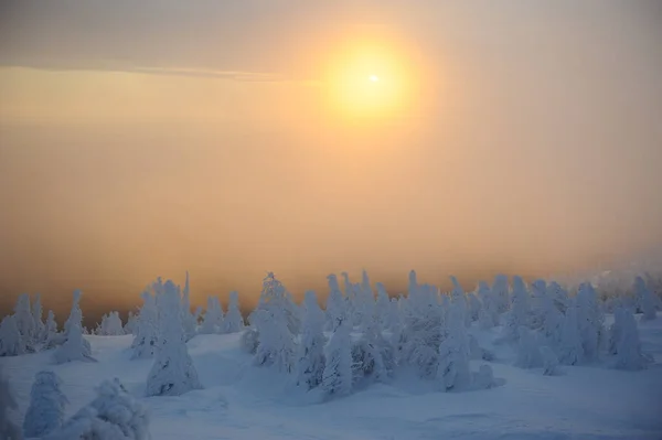 Sunshine over snow Stock Photos, Royalty Free Sunshine over snow Images ...