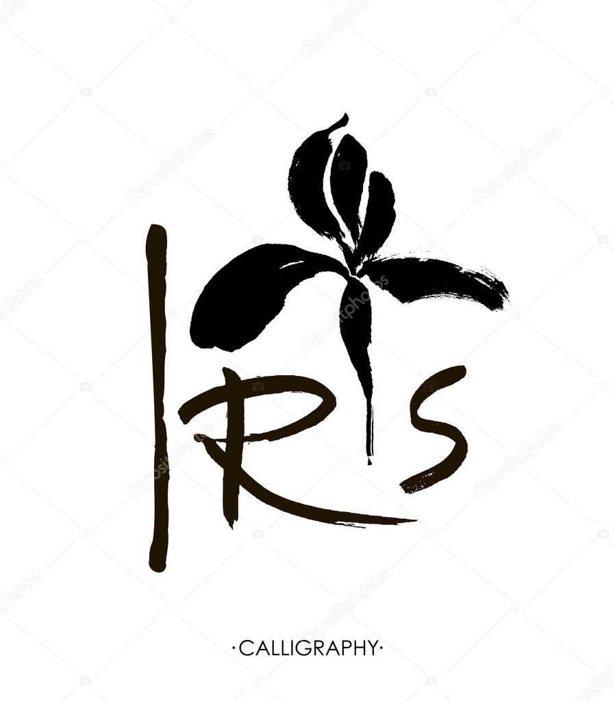 Vector flower logo. Floral background. Stylized calligraphic ink iris ...
