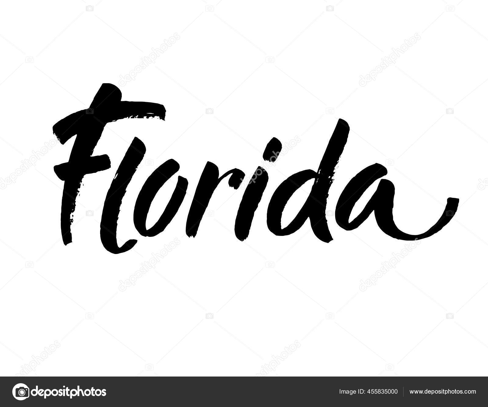 Florida Hand Drawn State Name Isolated White Background Modern Brush ...