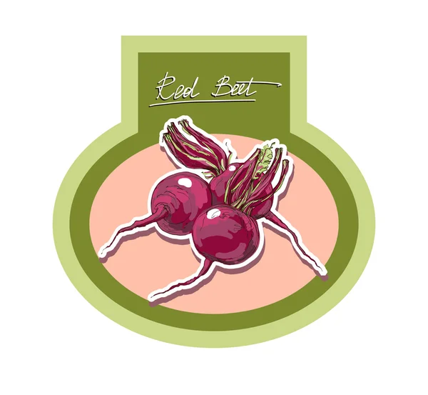 Set of vector labels with vegetables. Vector. — Stock Vector ...