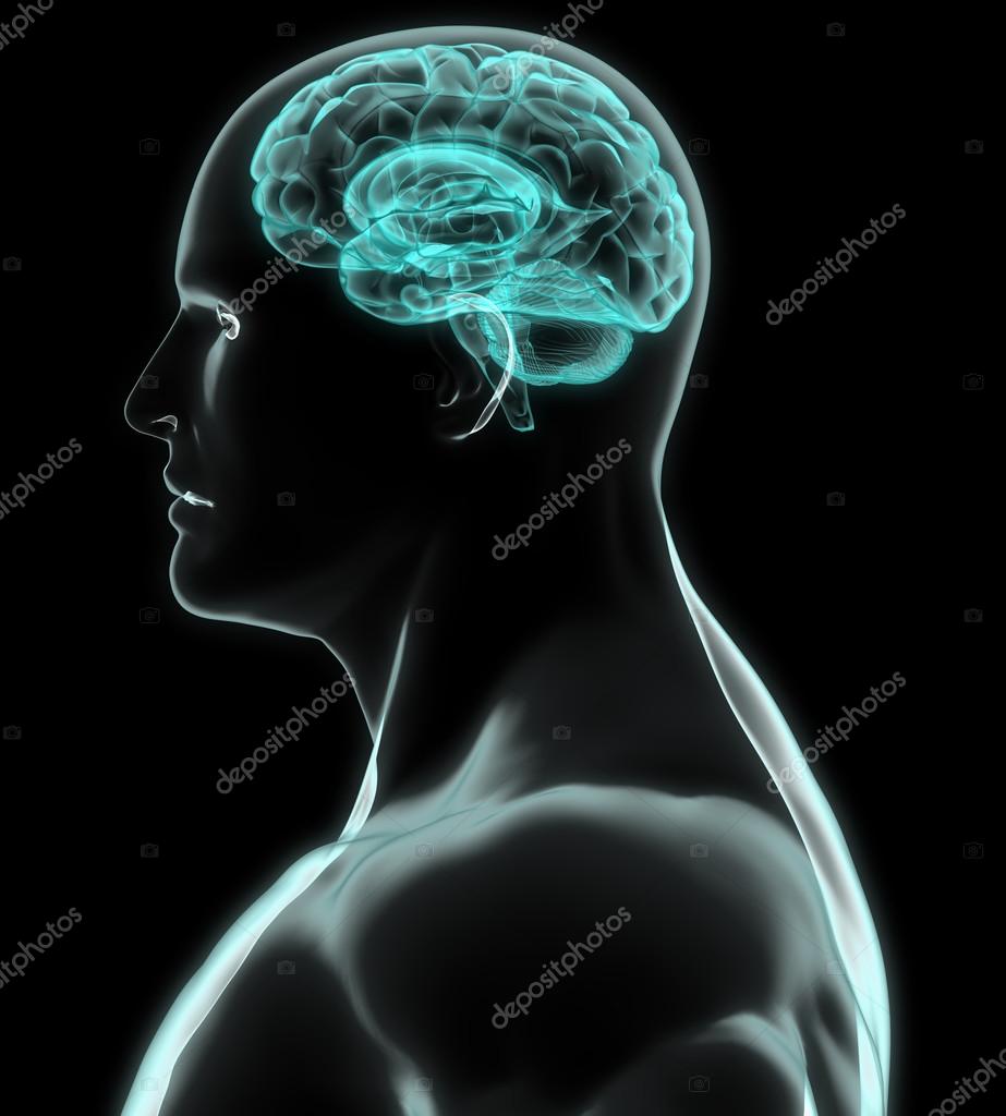 X-ray brain inside human head — Stock Photo © yodiyim #117582734