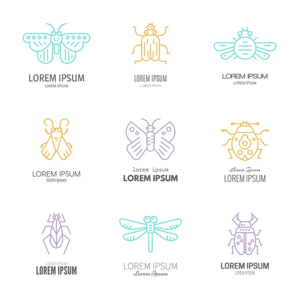 Plantillas de logotipo con insectos e insectos 2024