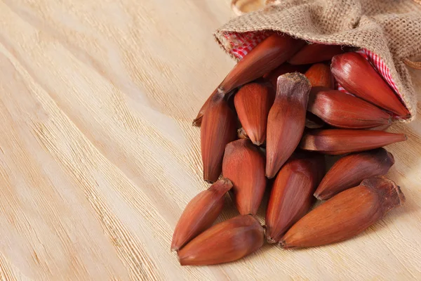 Pinhao - brazilian pine Stock Photo by ©jantroyka 144980605