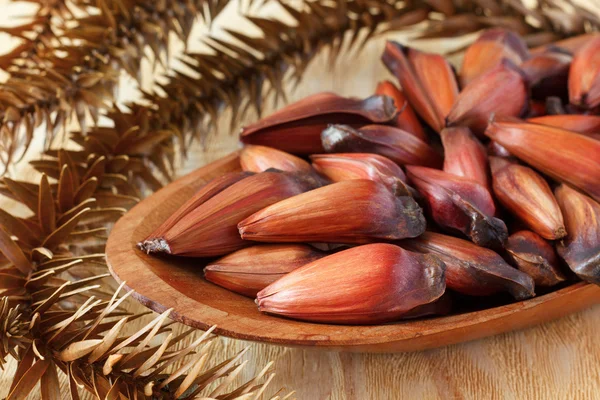 Pinhao - brazilian pine Stock Photo by ©jantroyka 144980605