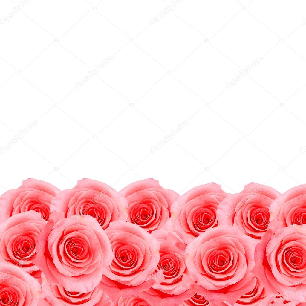 Pink rose pattern Stock Photo by ©panuruangjan 68236035