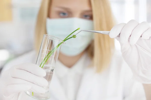 Young scientist in life science laboratory - Stock Image - Everypixel