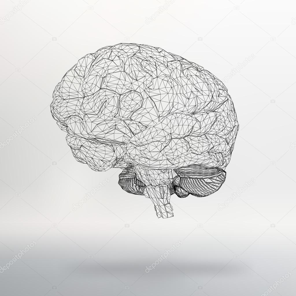 Vector illustration human brain. The structural grid of polygons ...