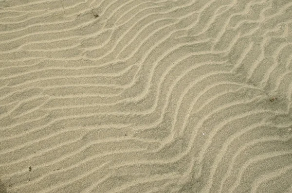 Imágenes de Por qué se forman líneas en la arena del mar, fotos de Por ...