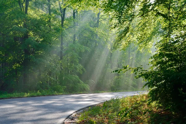 Winding country road Stock Photos, Royalty Free Winding country road ... Winding country road Stock Photos, Royalty Free Winding country road ...