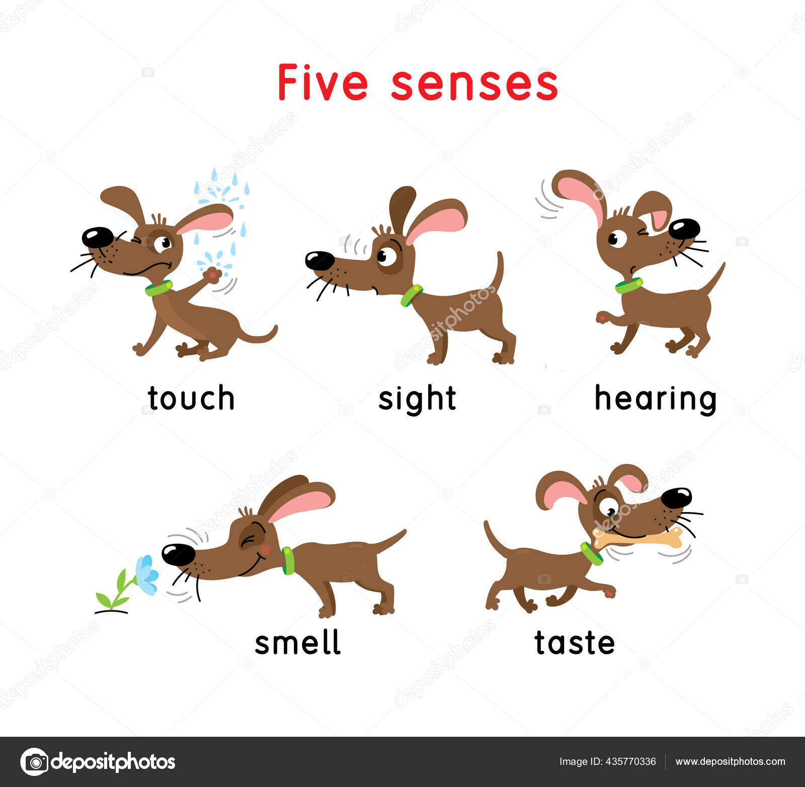 Five senses icon. Touch, taste hearing sight smell Stock Vector Image ...
