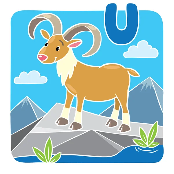 Little funny urial or ram, for ABC. Alphabet U Stock Vector by ...