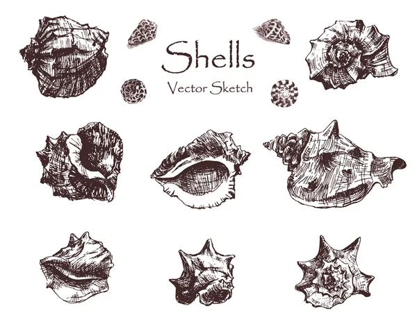 Set of elements on the marine theme — Stock Vector © Ann_art #76906645