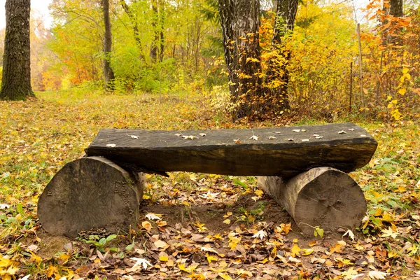 Nature park bench Stock Photos, Royalty Free Nature park bench Images ...