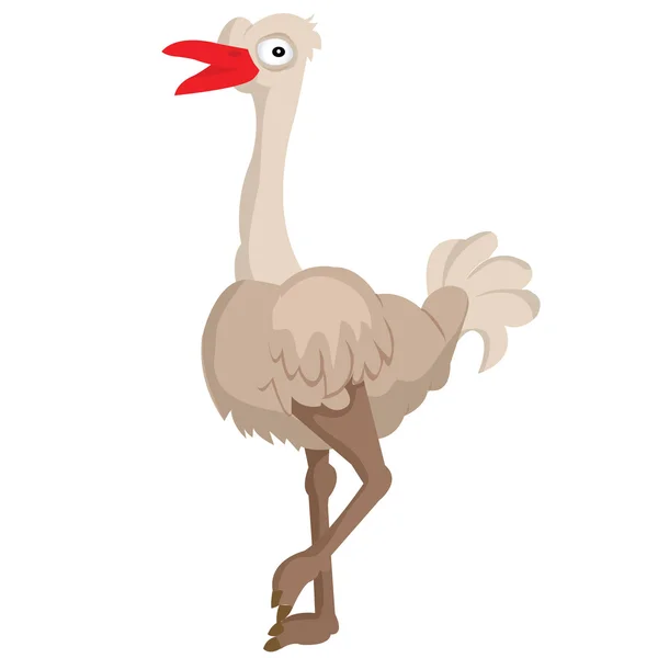 Ostrich Eyeball Clipart
