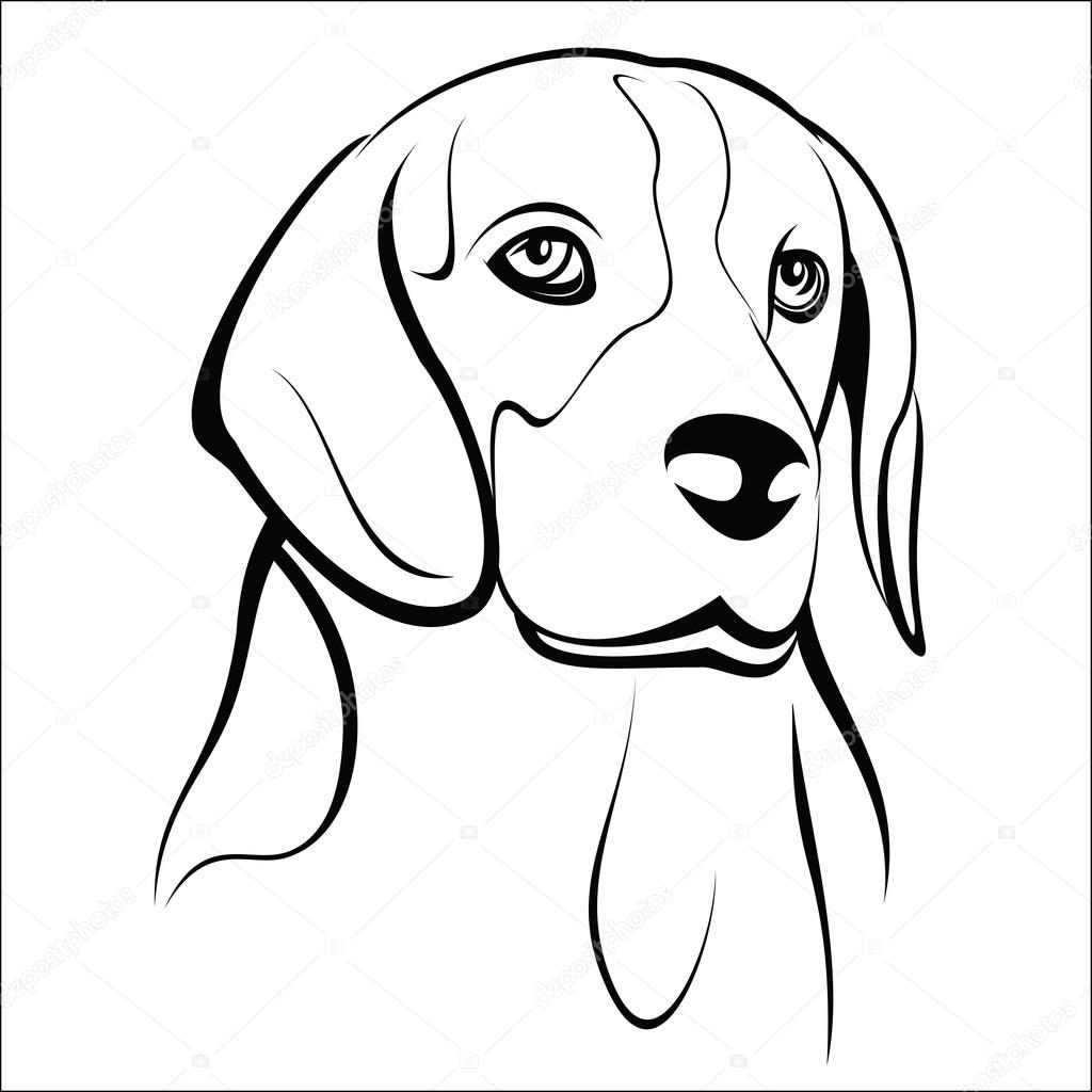 Beagle Stock Vector by ©fxm73 81526402