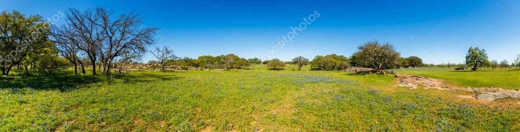 Texas Hill Country — Stock Photo © fotoluminate #110698292