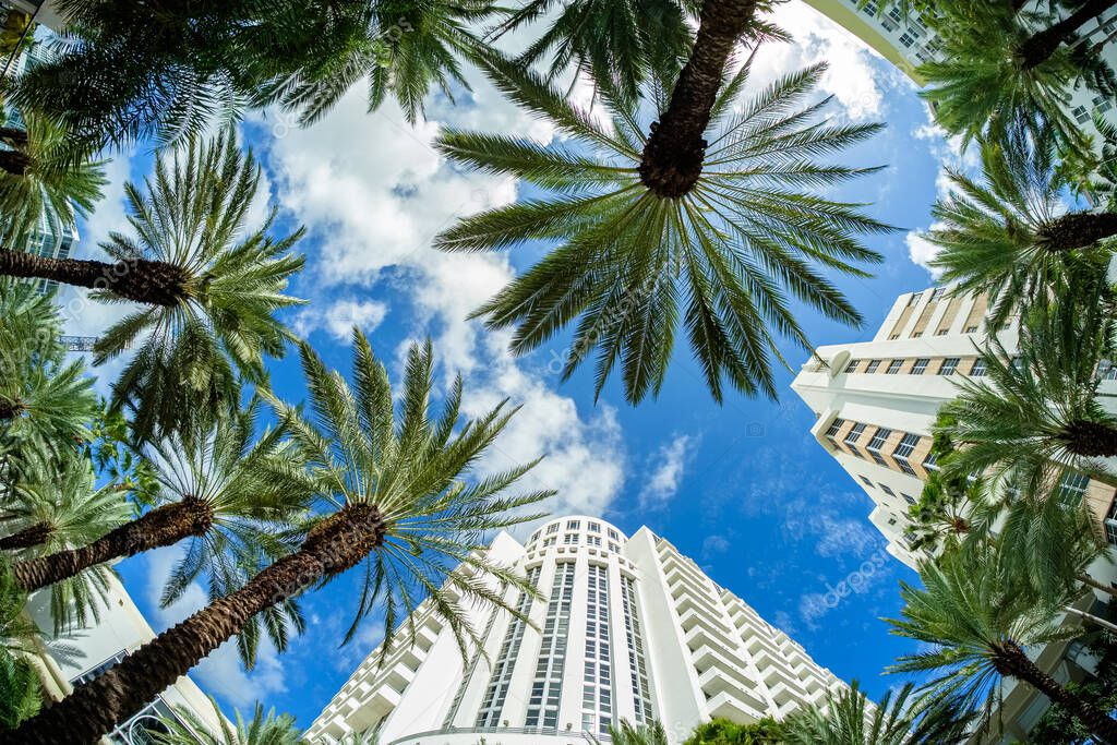 Hermoso paisaje urbano de Miami Beach Fish Eye con arquitectura art ...