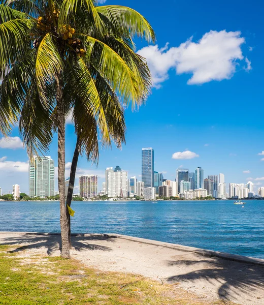 Miami condo Stock Photos, Royalty Free Miami condo Images | Depositphotos