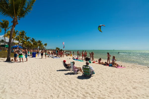 Key West Spring Break - Stock Image - Everypixel
