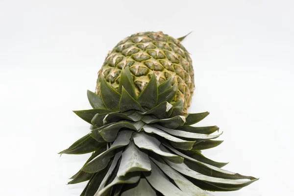 Pineapple stem Stock Photos, Royalty Free Pineapple stem Images ...