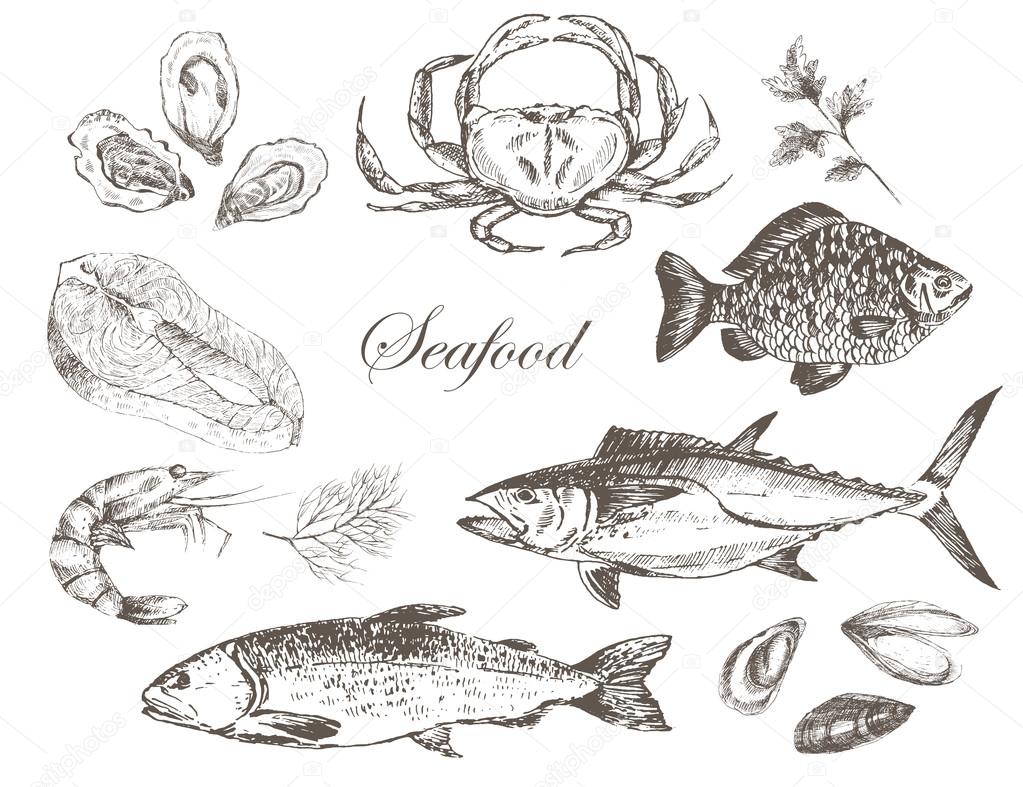 Vector hand drawn seafood set - shrimp, crab, lobster, salmon, oysters ...