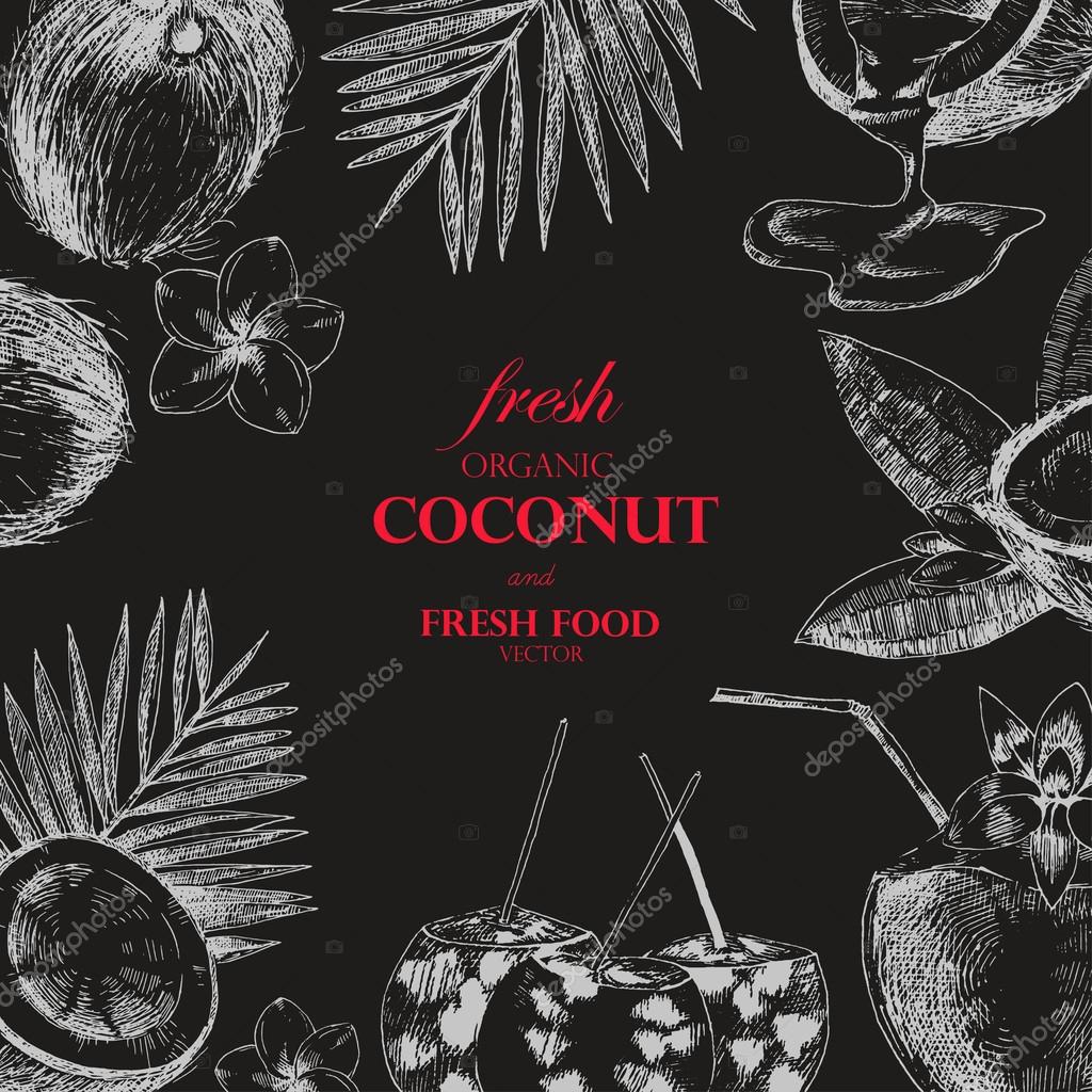 Hand drawn coconut design template. Retro sketch style vector tropical ...