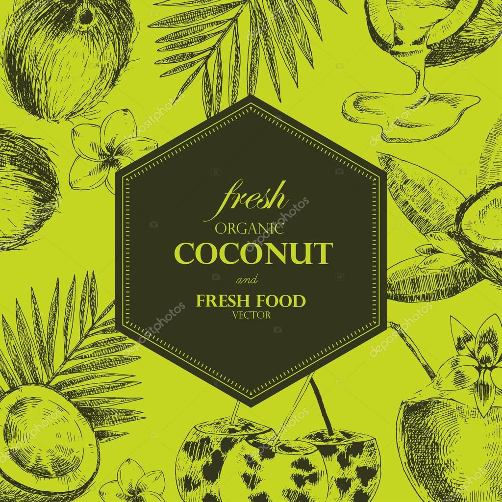Hand drawn coconut design template. Retro sketch style vector tropical ...