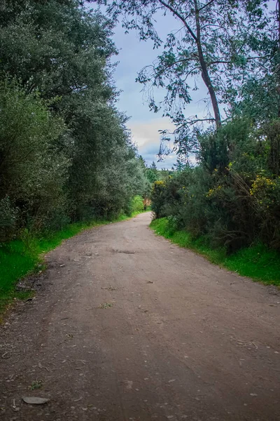 About the small road Stock Photos, Royalty Free About the small road ...