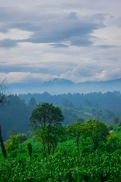 Rwanda landscape Stock Photos, Royalty Free Rwanda landscape Images ...