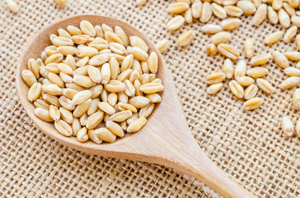 Closeup organic whole grain wheat kernels. Stock Photo by ©gamjai 111883634