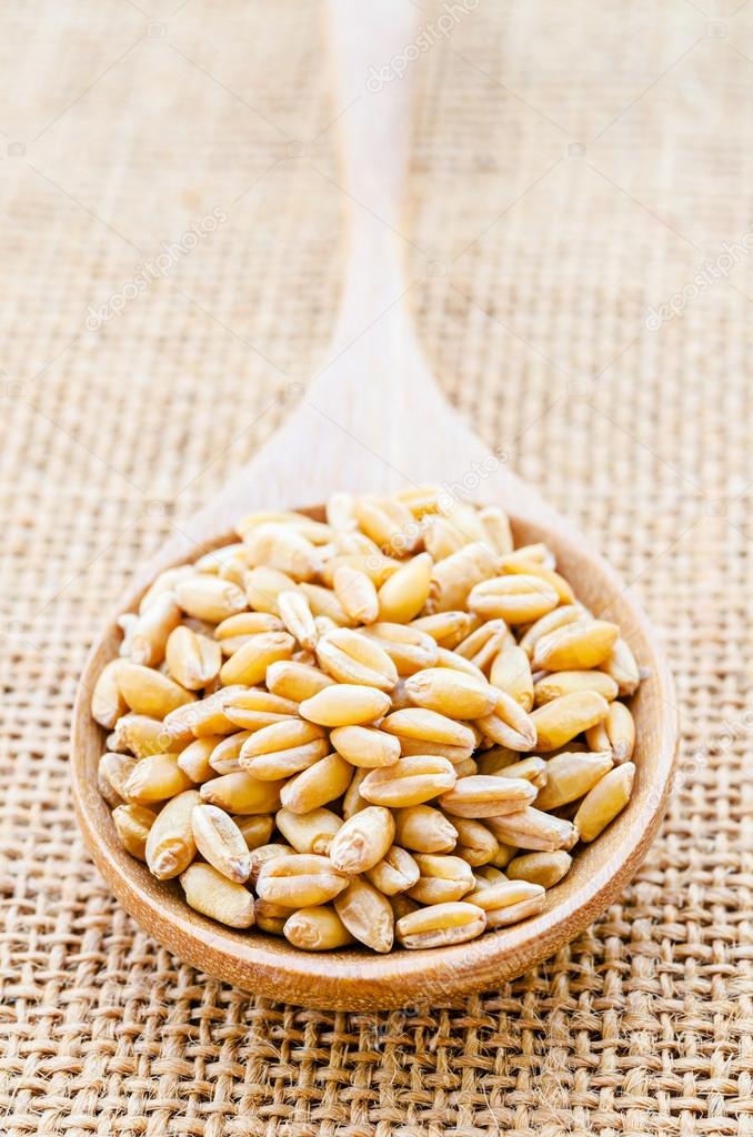 Closeup organic whole grain wheat kernels. Stock Photo by ©gamjai 111883634