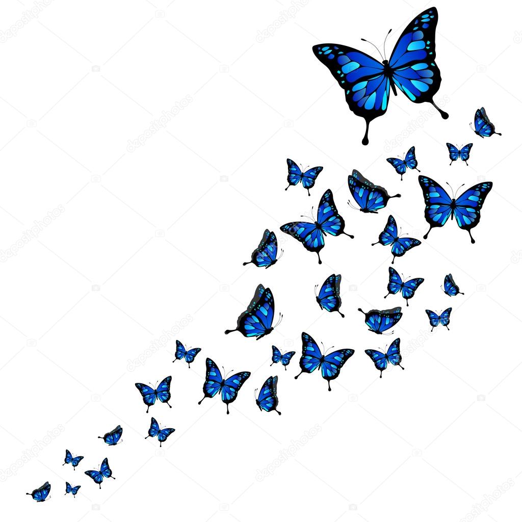 Flock of abstract butterflies on white background Stock Vector Image by ...