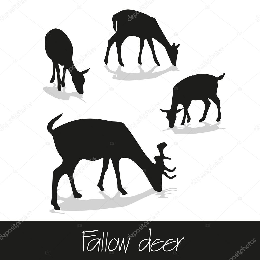 Feeding fallow deer silhouette of animal icons eps10 Stock Vector Image ...