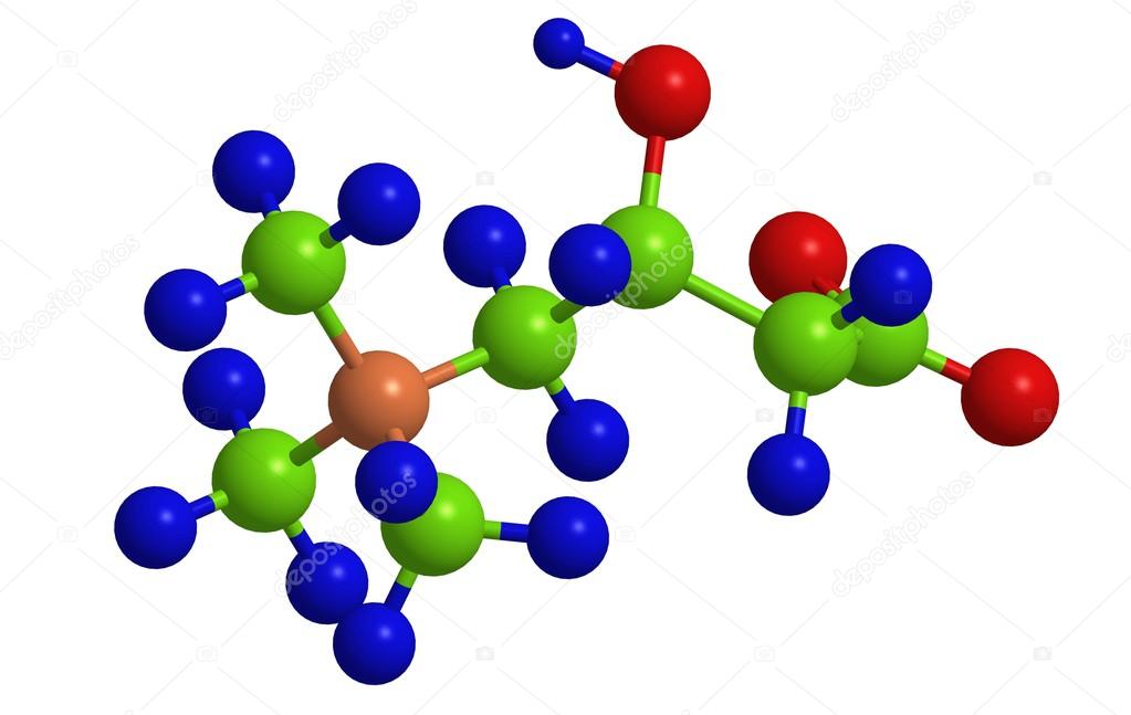 Molecular structure of L-carnitine (vitamin B20) — Stock Photo ...