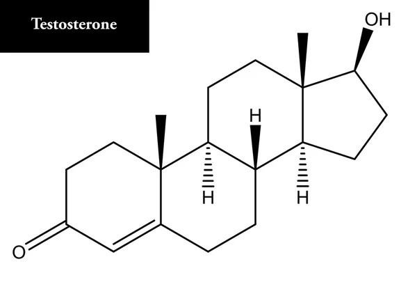 Testosterone Structural Formula — Stock Vector © Leonid Andronov 12099515