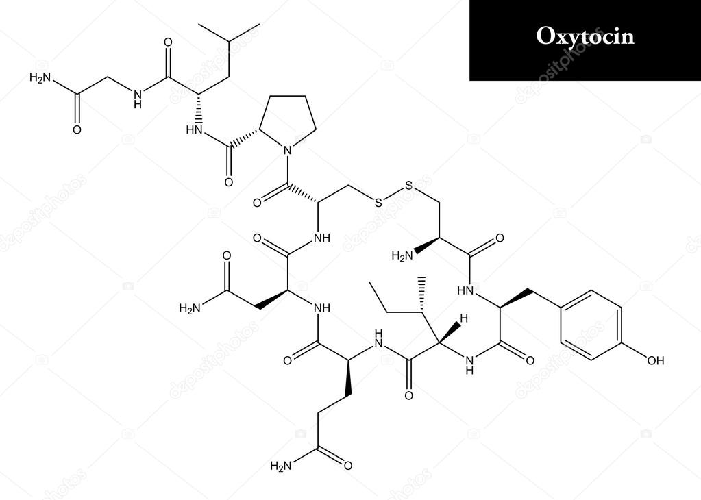 Oxytocin Structure Vektorhormone Studie Banner Vorlage. Kreide