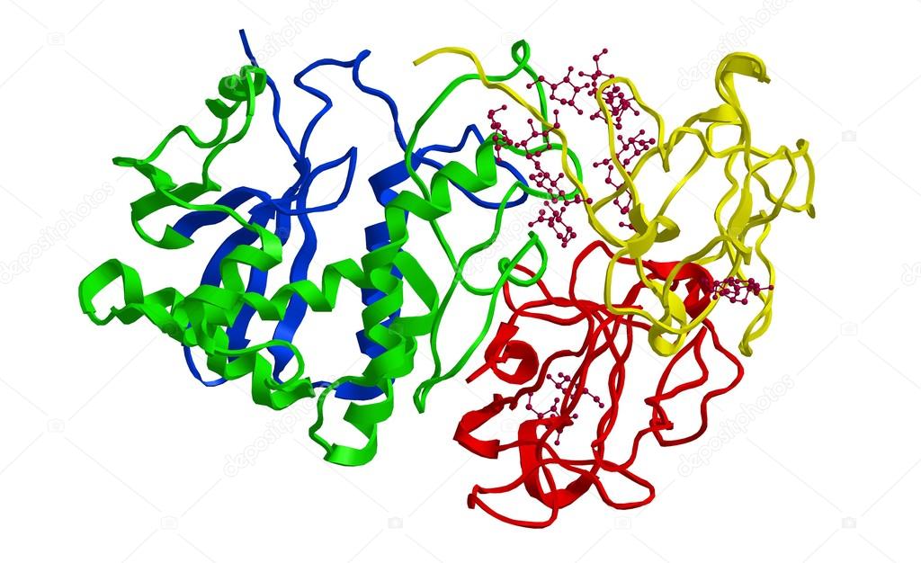 Illustration de Structure moléculaire de la ricine par Raimund14© #87049192