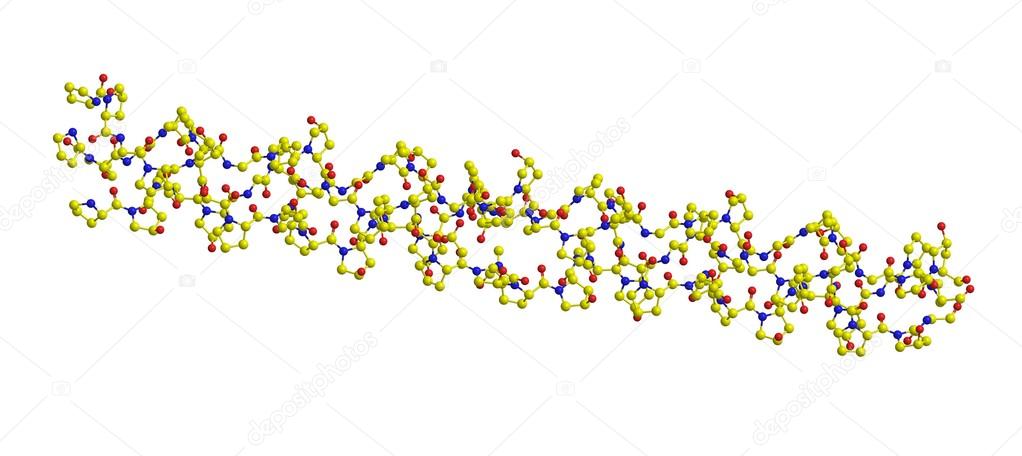Molecular structure of collagen — Stock Photo © Raimund14 #87049202