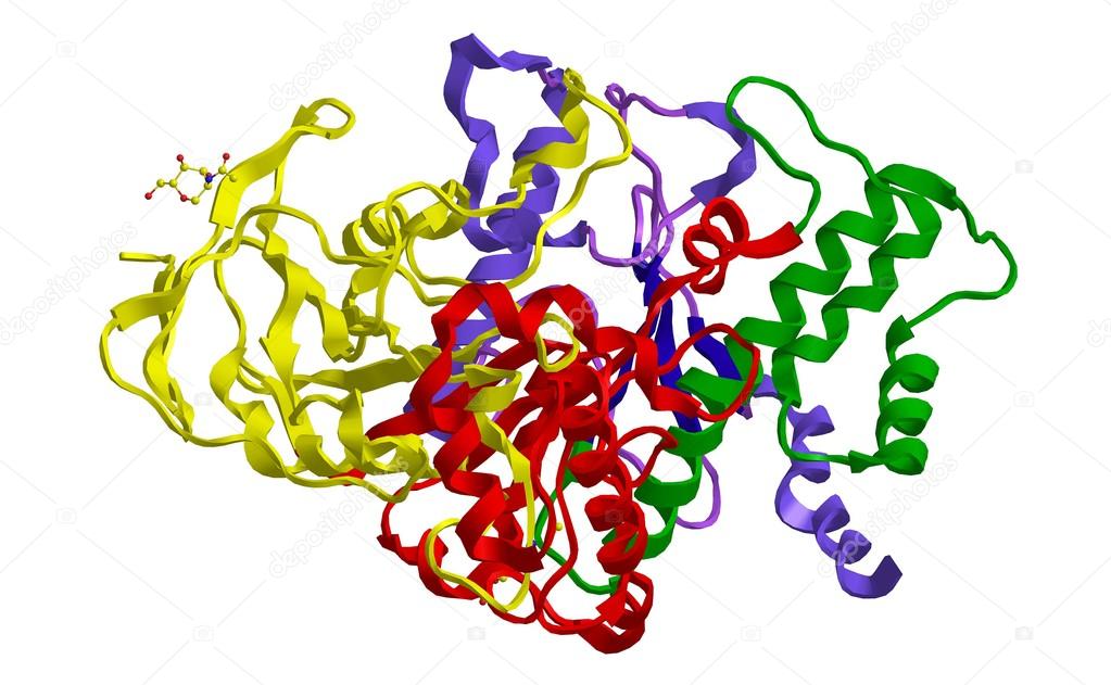Estructura molecular de la enzima colinesterasa — Foto de stock ...