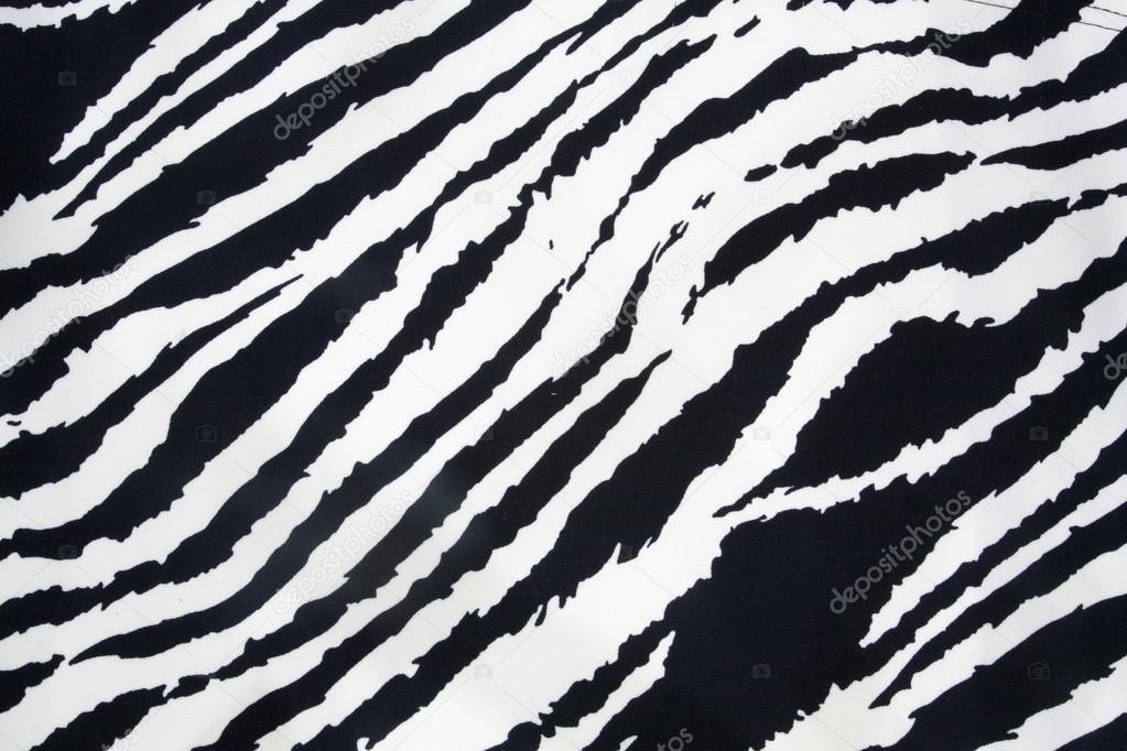 Zebra strip Stock Photo by ©onairjiw 51946693