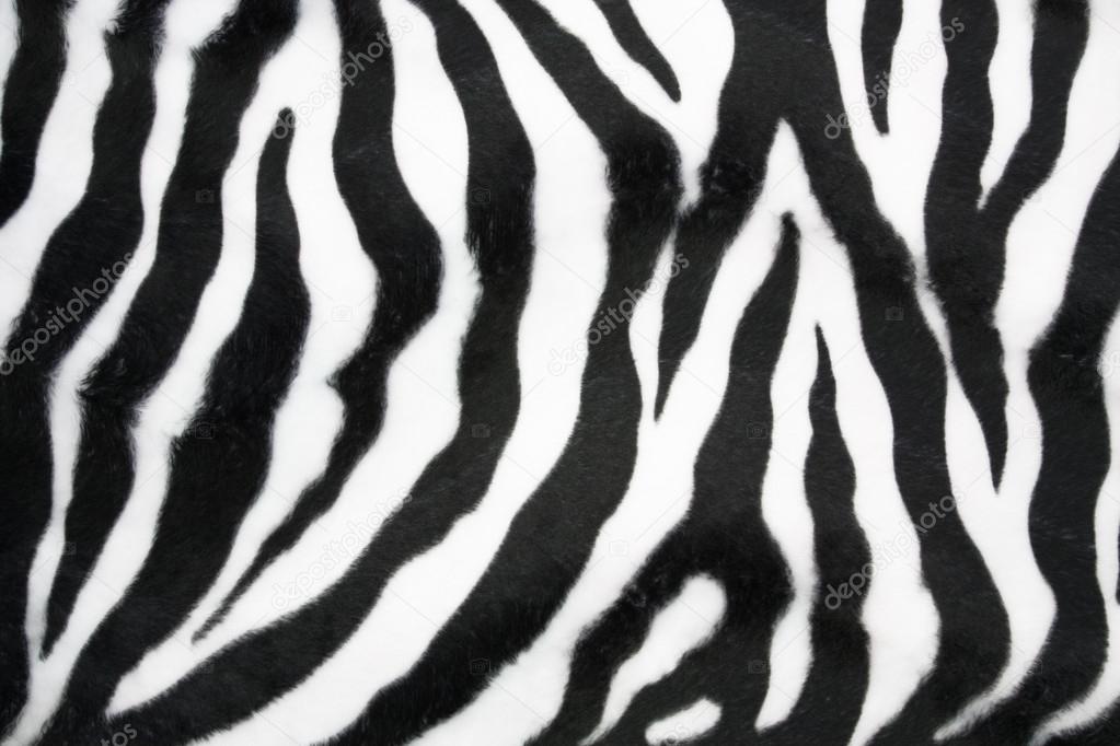 Real Zebra Texture