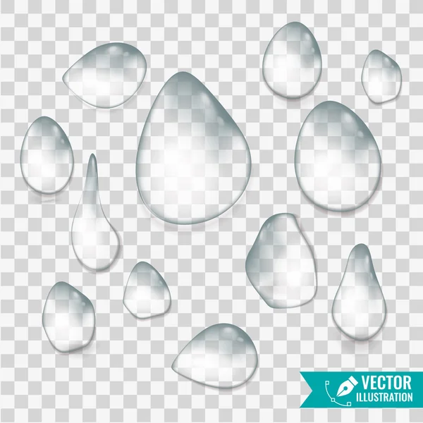 Transparent tear drop Vector Art Stock Images | Depositphotos