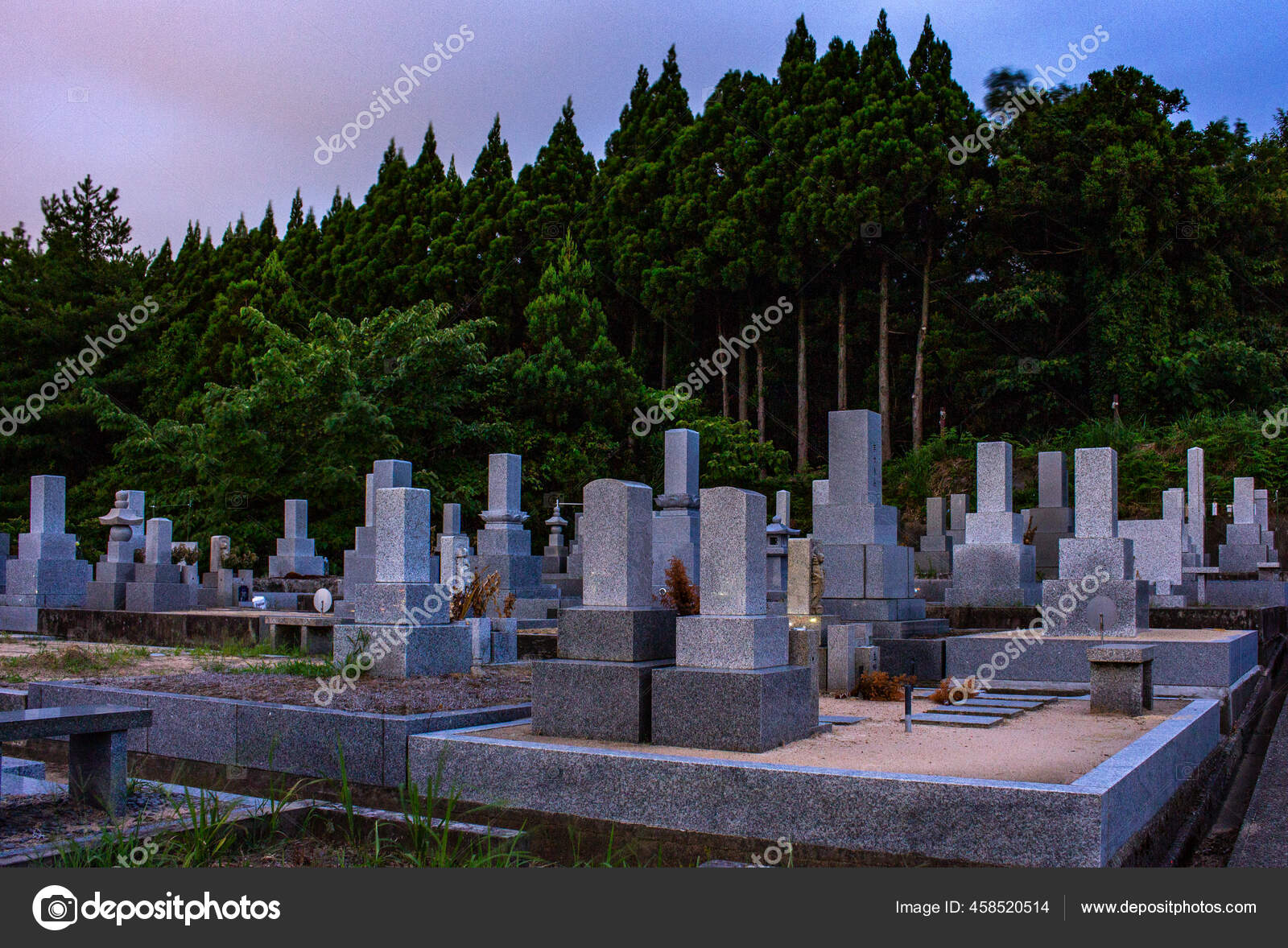 Long Exposure Image Stone Memorials Cemetery Graveyard Forest Night ...