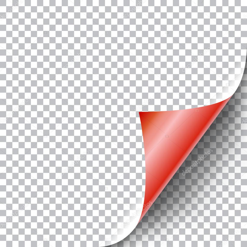 Curly Page Corner — Stock Vector © paketesama #114643012