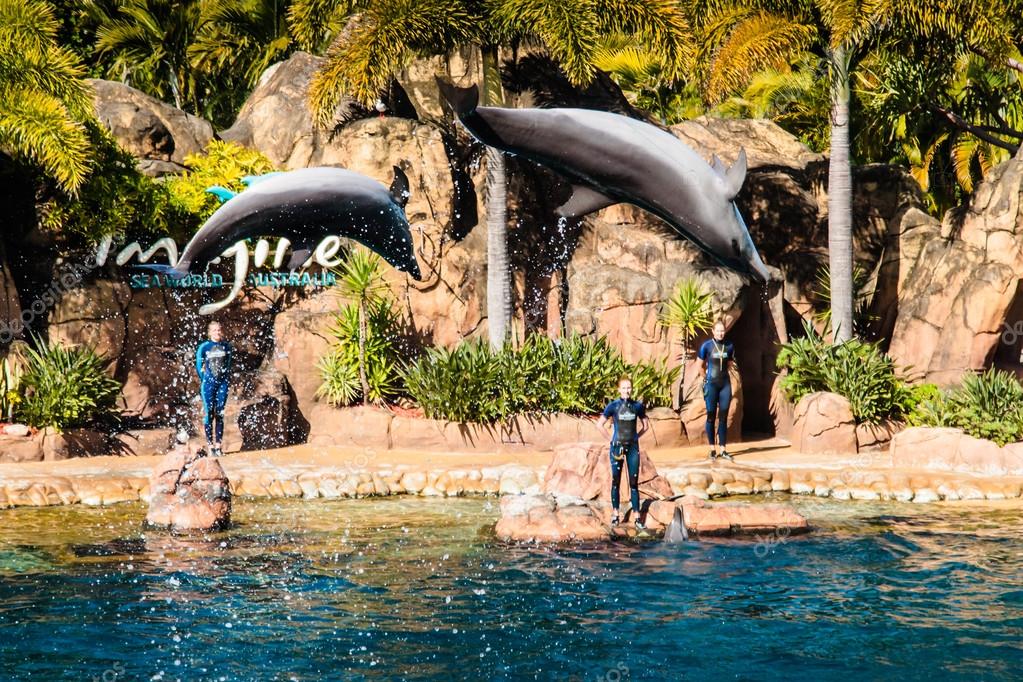 Backflipping Dolphins — Stock Editorial Photo © k009034 #73847409