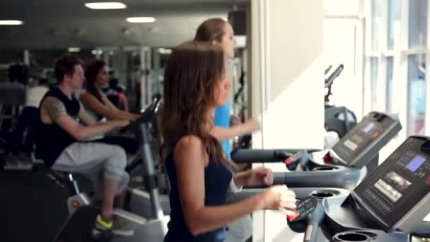 151,099 Gym Videos, Royalty-free Stock Gym Footage | Depositphotos